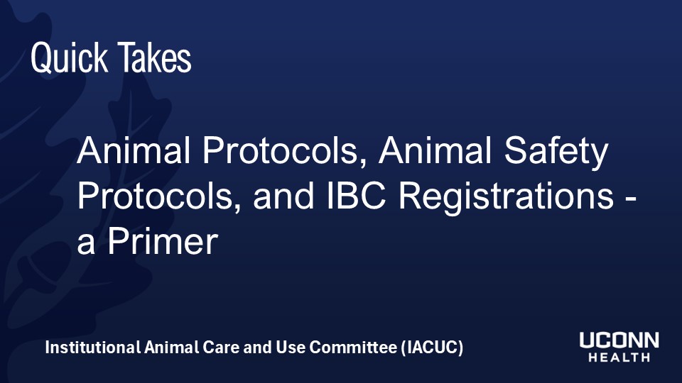 Animal Protocols, Animal Safety Protocols, and IBC Registrations - a ...